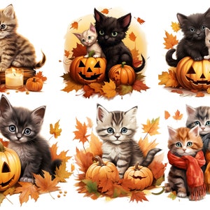 100 Cat Clipart Halloween Cat PNG Pumpkin Cat Illustrations Crafting ...