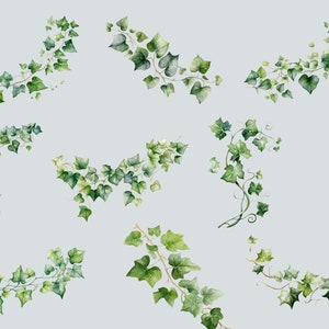 Watercolor Ivy Clip Art - Digital Climbing Ivy Vines Clipart Graphics ...