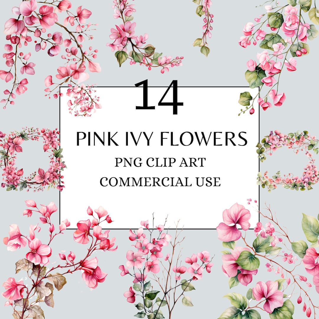 Pink Ivy Flower Watercolor Clipart, Boho Minimalist Wedding Invitation ...