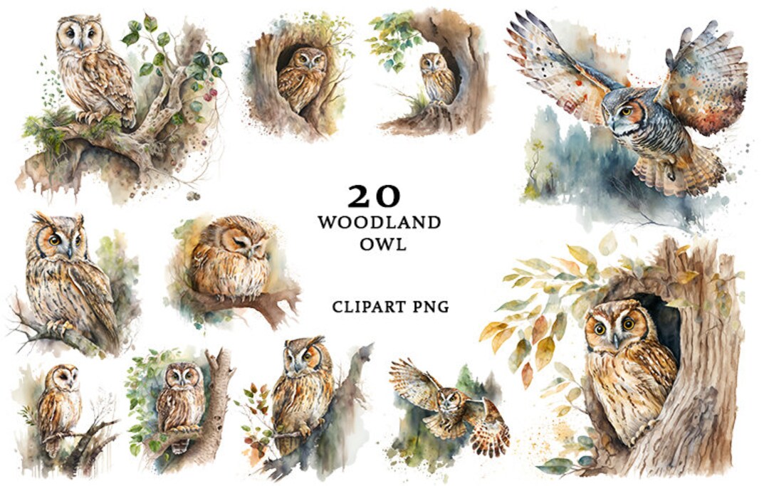 Woodland Owl Clipart Watercolor, Woodland Baby Animals Clipart ...