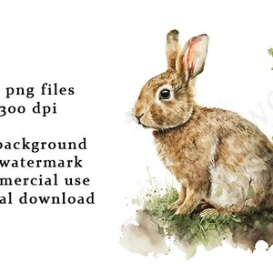 Woodland Rabbit Clipart Watercolor, Woodland Baby Animals Clipart ...