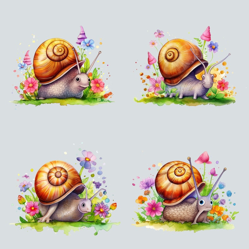 Funny Snail Clipart Watercolor Snail Clipart Snails PNG - Etsy