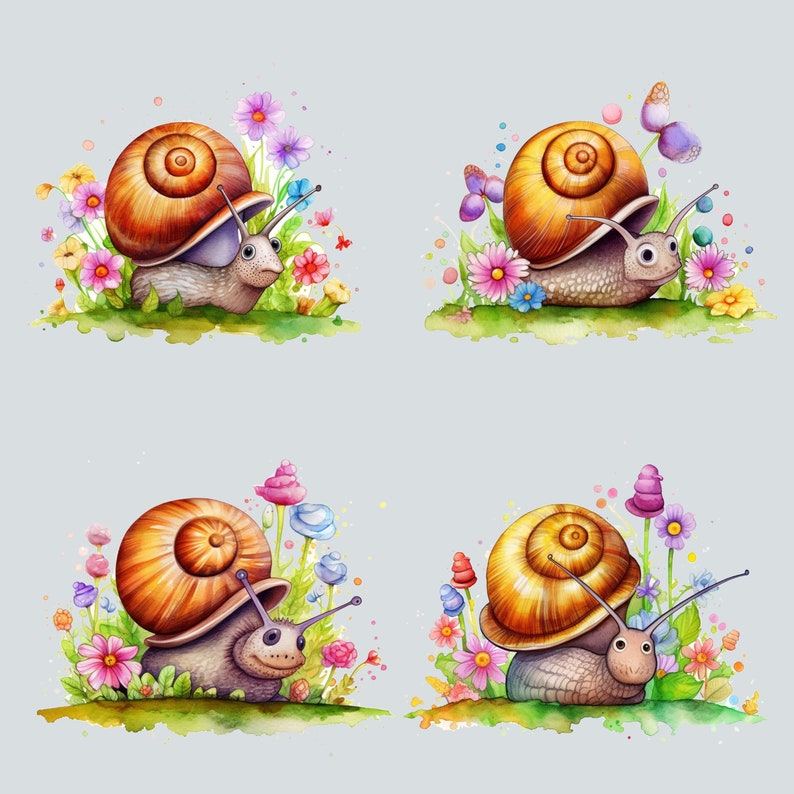 Funny Snail Clipart Watercolor Snail Clipart Snails PNG - Etsy