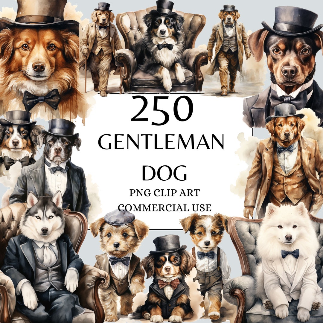 Watercolor Gentleman Dog Clipart, 250 PNG Digital Images, Transparent ...