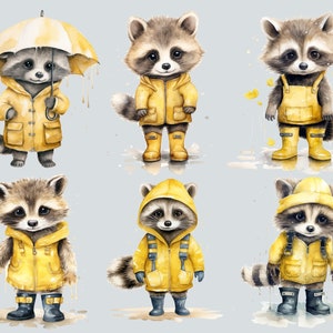 Raccoon in Raincoat Clipart, Animals in Raincoat, Rainy Raccoon Clipart ...