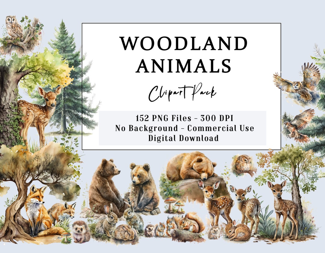 Woodland Animals Clipart Collection Watercolor Forest Animals - Etsy