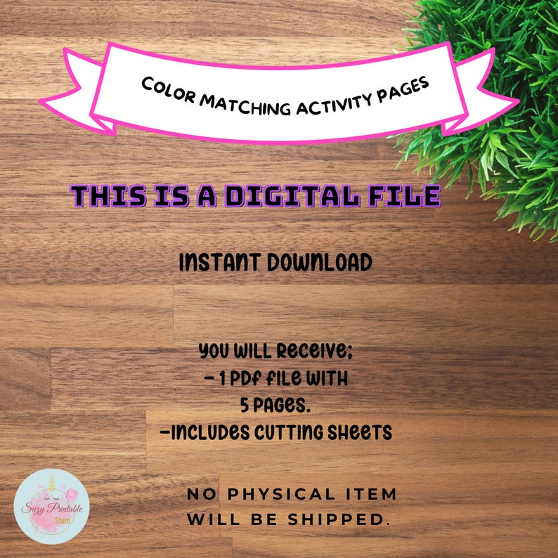Preschool Color Matching Activity Pages, Color Matching Activity ...