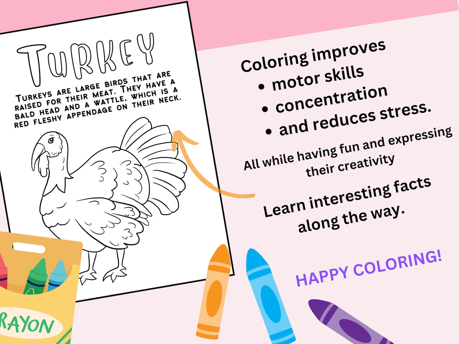 Printable Farm Animal Coloring Educational Activities for Kids Cute ...