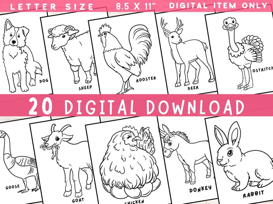 20 Farm Animal Coloring Pages| With Animal Names | Printable Coloring ...