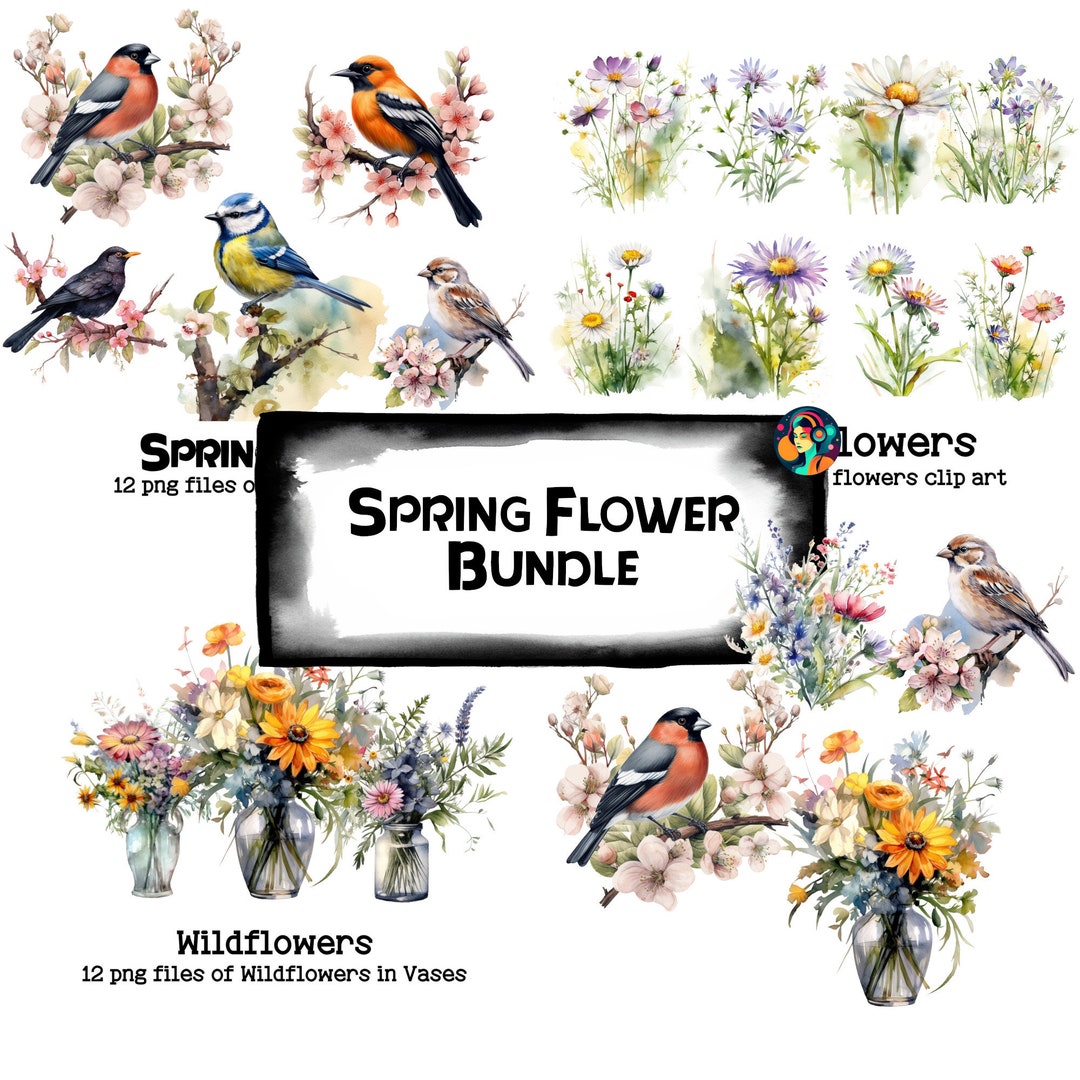 Spring Bundle Flower Clipart Spring Clipart Bird Clip Art Clip Art ...