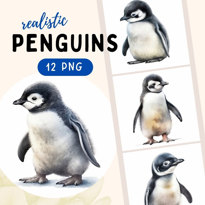 Penguin Clipart, 12 High Quality PNG, Realistic Penguins, Watercolor ...