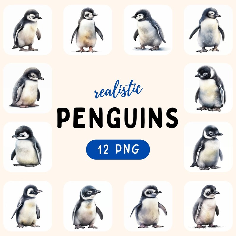 Penguin Clipart 12 High Quality PNG Realistic Penguins - Etsy