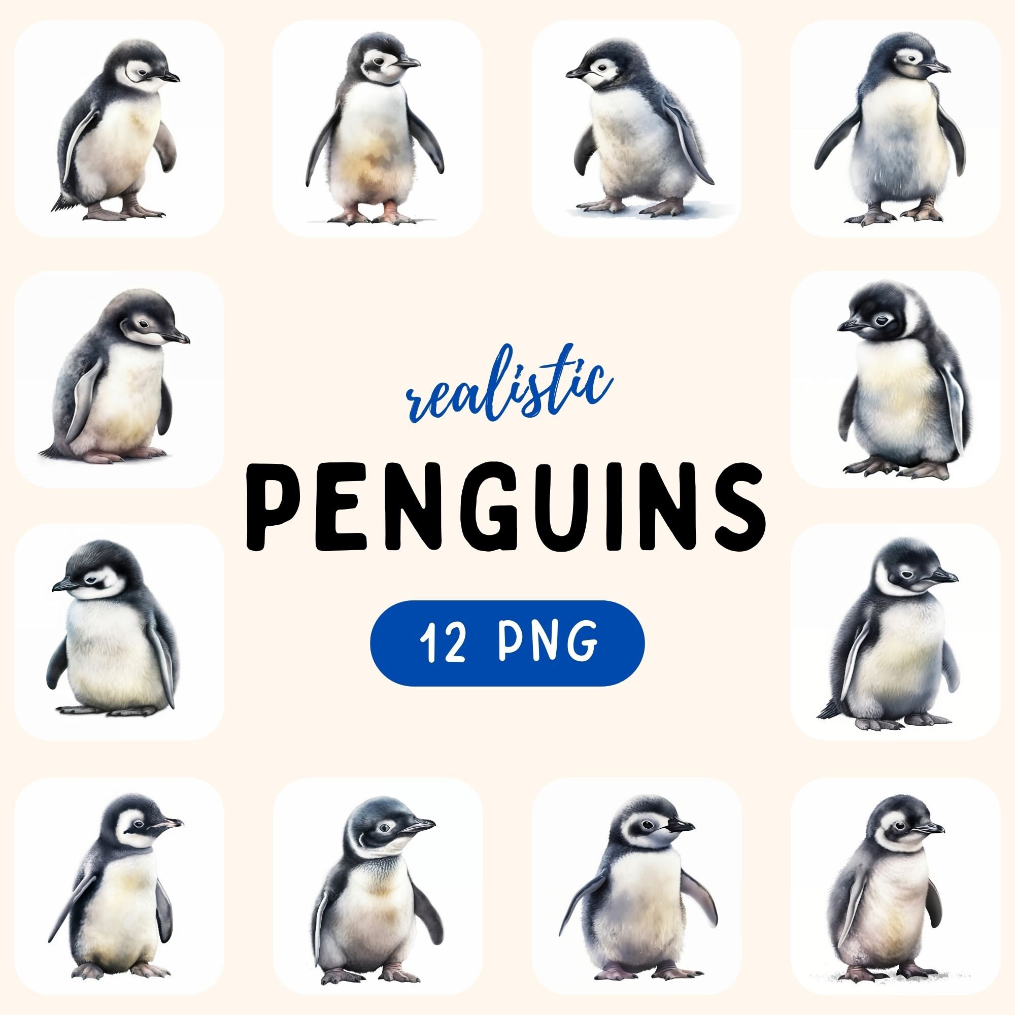 Penguin Clipart, 12 High Quality PNG, Realistic Penguins, Watercolor ...