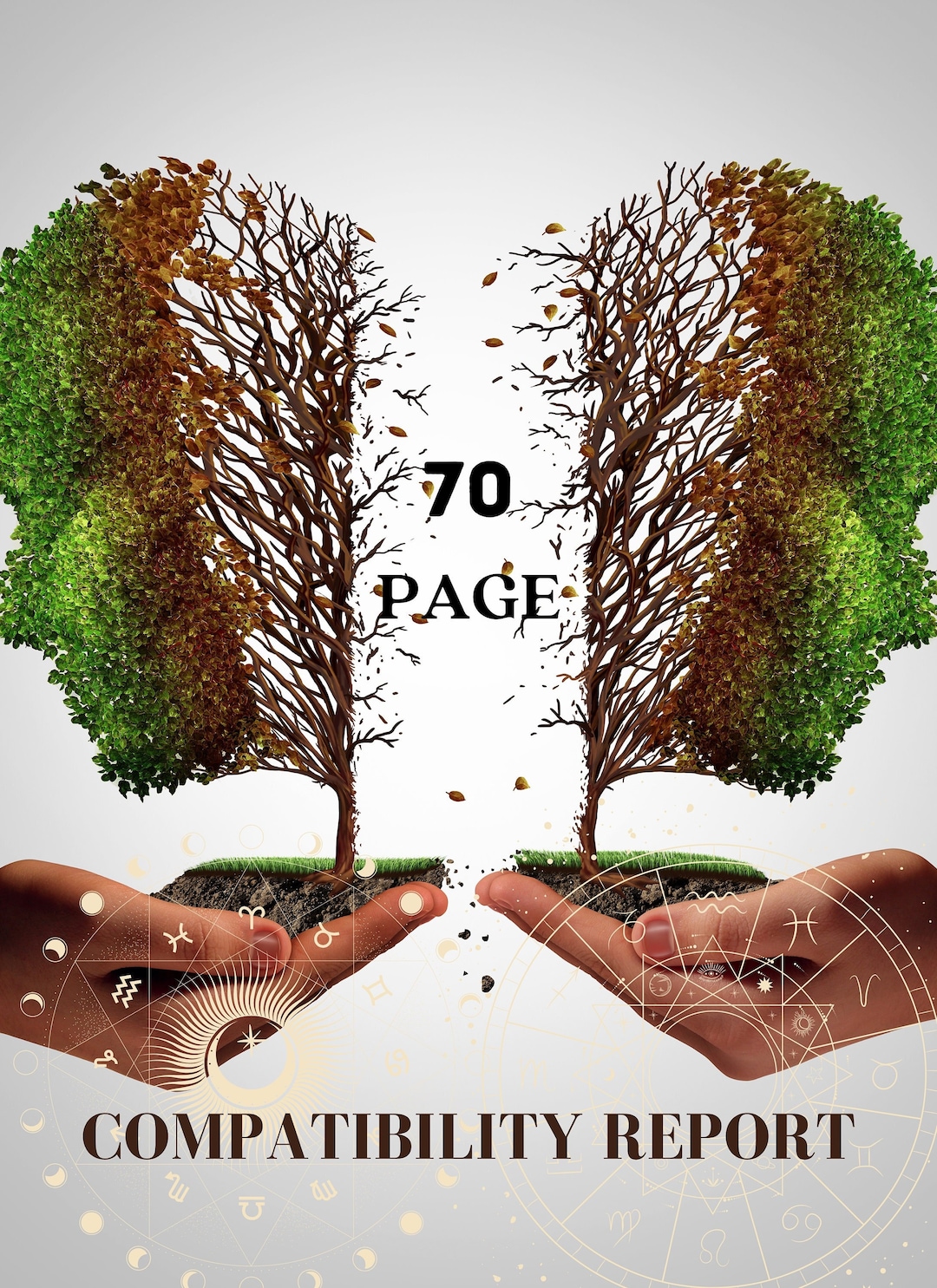 Professional 70 Page Guide - Couples Compatibility Astrology Report ...