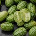 Mouse Melon 10 Seeds melothria Scabra Fruit Heirloom - Etsy
