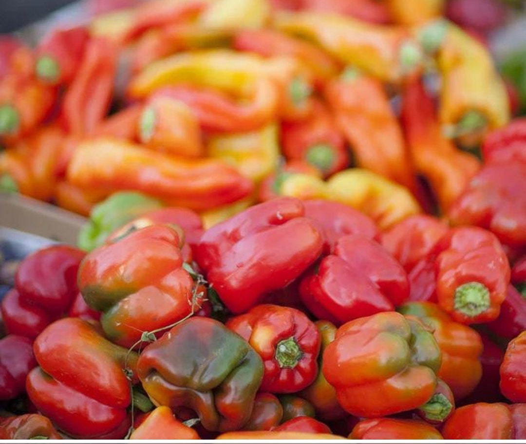 Sweet Bell Pepper 'lunch Box Mix H' 12 Seeds capsicum Annuum Vegetable ...