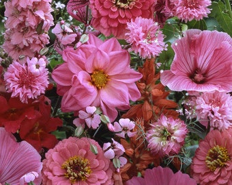 Mimulus X Hybrida Magic Blotch Flower Seed Mix 200 Seeds - Etsy