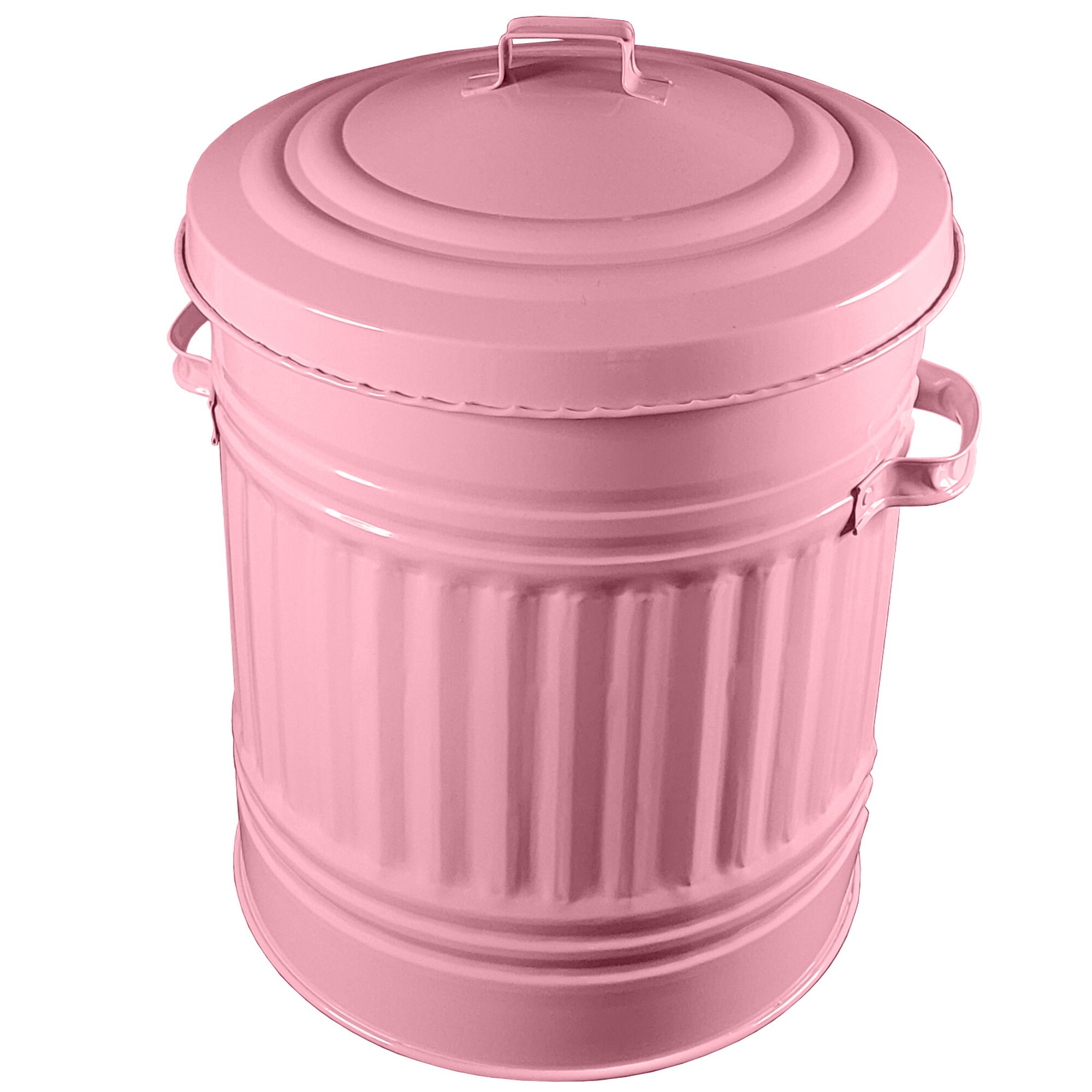 Small dustbin with lid store