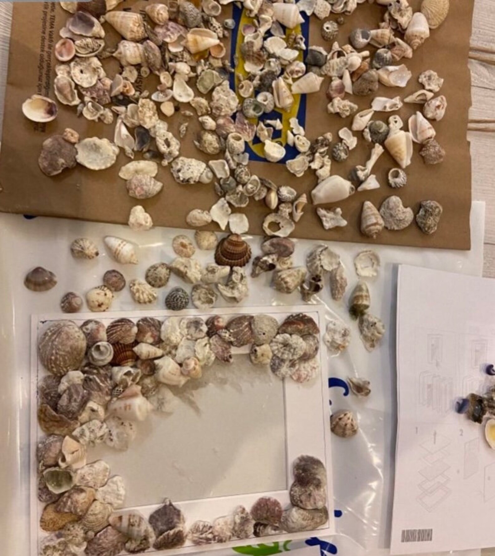 Seashell Dreamy Summer Vibe Frame From Bays Wall Hanging Decor 20*25 Cm ...