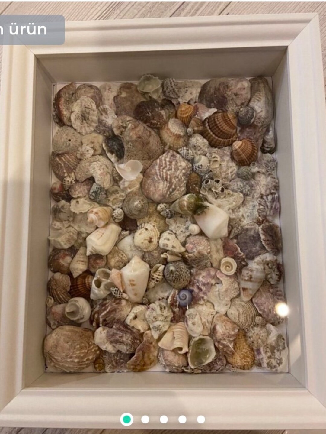 Seashell Dreamy Summer Vibe Frame From Bays Wall Hanging Decor 20*25 Cm ...