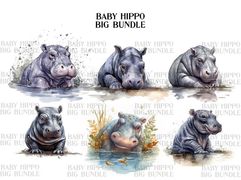 Baby Hippo Clipart Bundle 15 Hippos as Watercolor Pngs Digital Download ...
