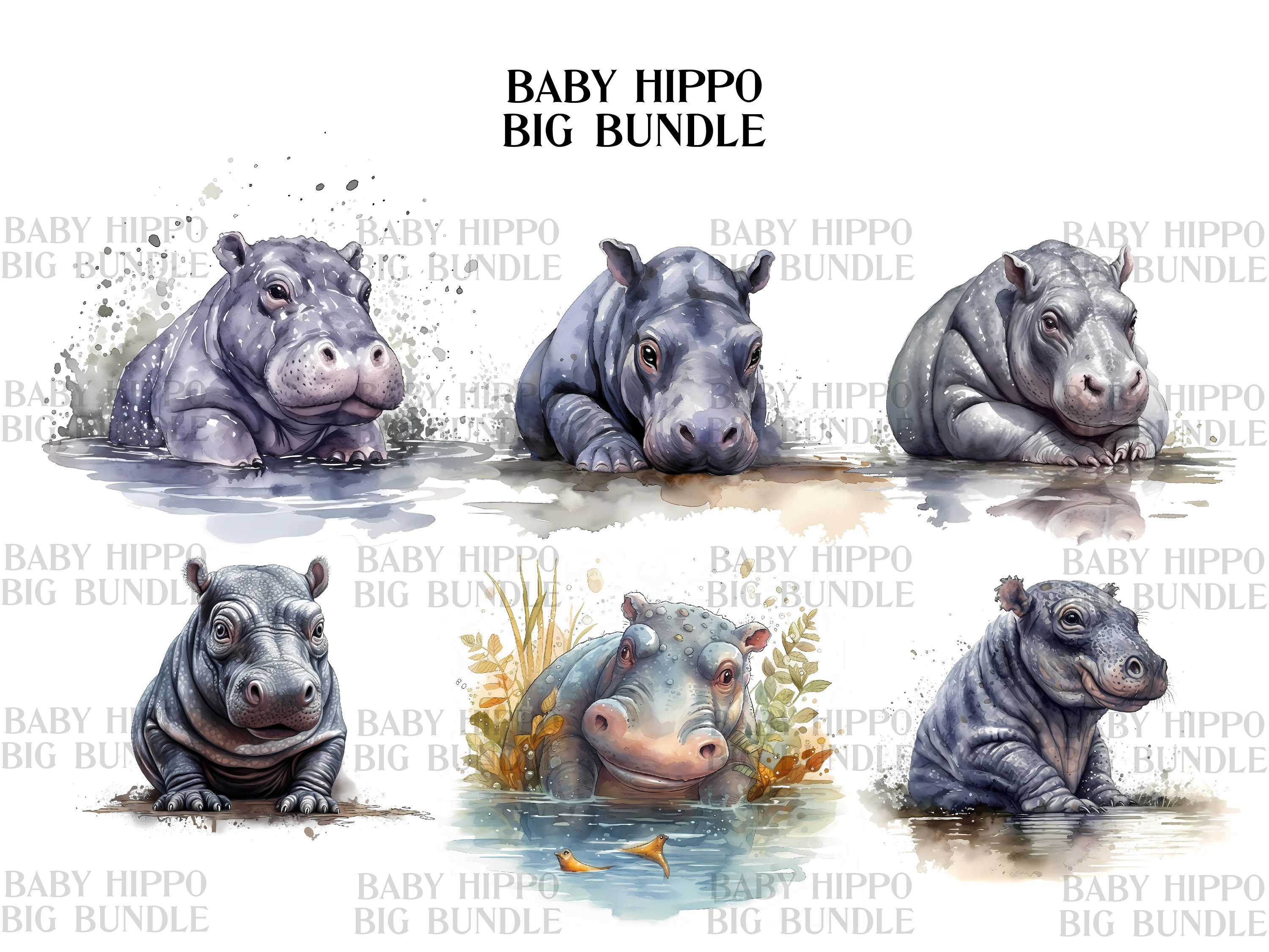 Baby Hippo Clipart Bundle 15 Hippos as Watercolor Pngs Digital Download ...