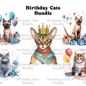 Birthday Cat Clipart Bundle - 29 Cute Cats as Watercolor Pngs - Digital ...