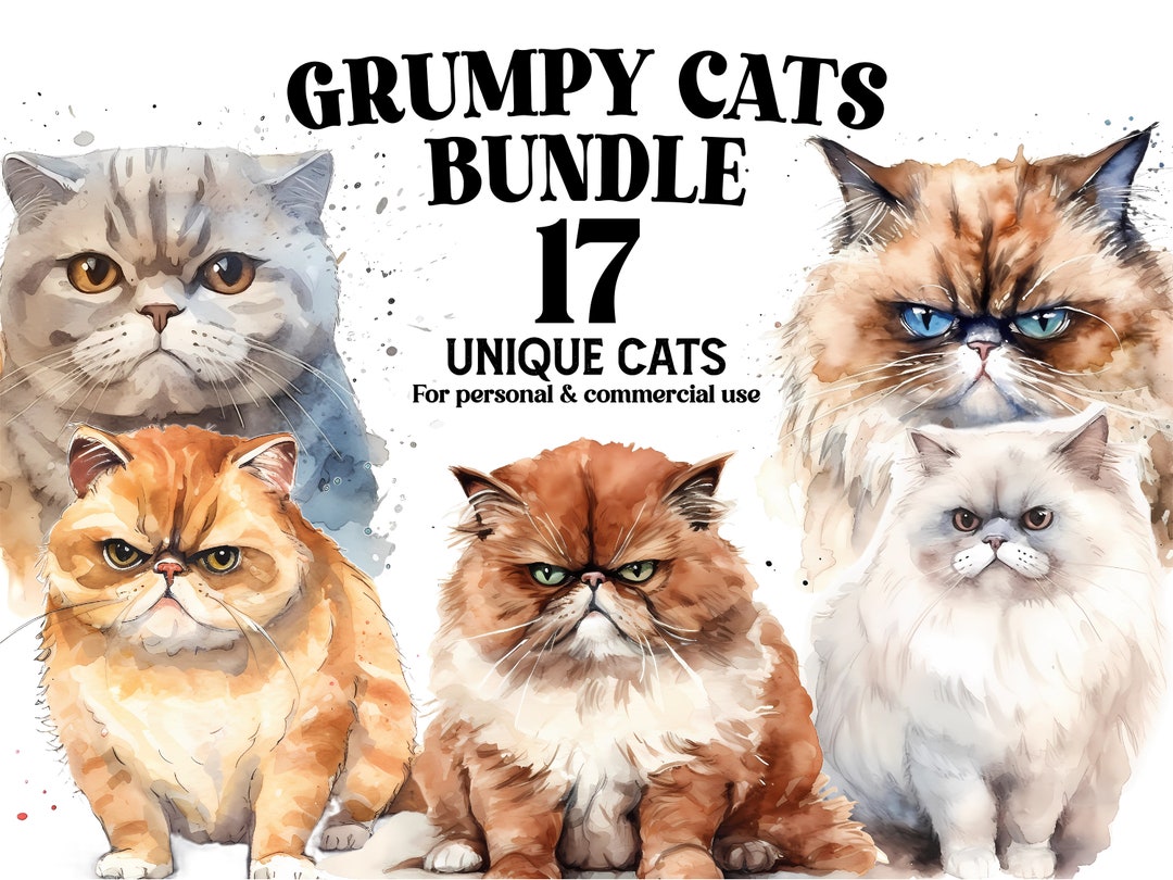 Grumpy Cat Clipart Bundle - 17 Grump Cats as Watercolor Pngs - Digital ...