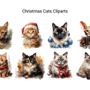 Christmas Cats Clipart Bundle 60 Christmas Pngs Clip Art Fordecor ...