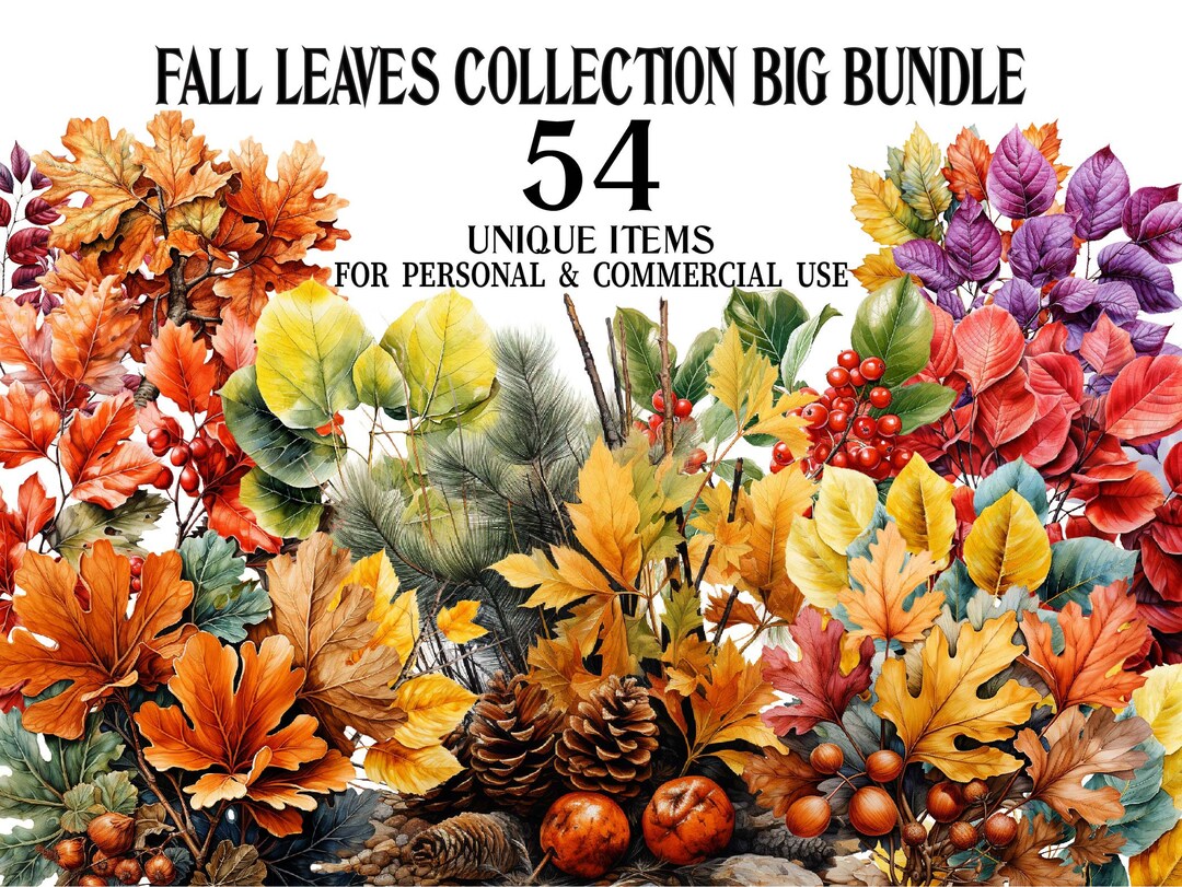 Fall Leaves Clipart Big Bundle 54 Watercolor Autumn Leaf Pngs Digital ...