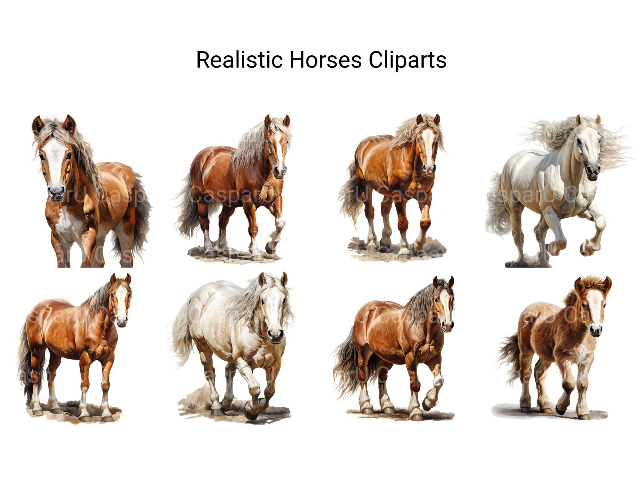 Realistic Horses Clipart Bundle 64 Farming Horses Pngs Digital Download ...