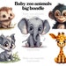 25 Baby Zoo Animals Clipart Bundle Cute Cartoon Animal Pngs - Etsy