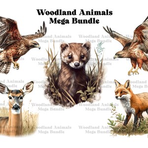 Woodland Animal Clipart Big Bundle - 33 Forest Animal Pngs - Digital ...