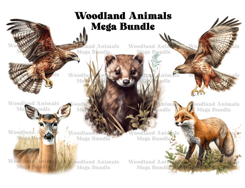 Woodland Animal Clipart Big Bundle 33 Forest Animal Pngs Digital ...