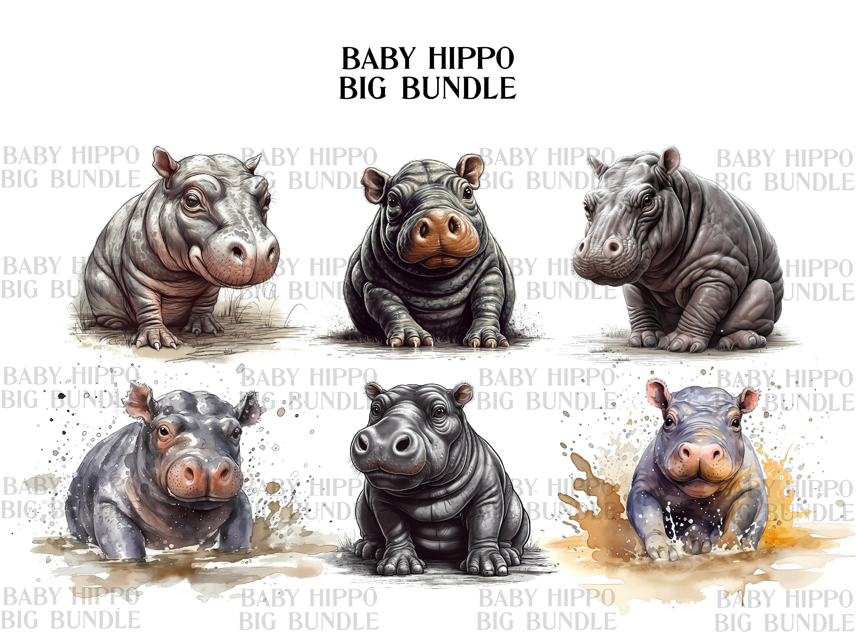 Baby Hippo Clipart Bundle 15 Hippos as Watercolor Pngs Digital Download ...