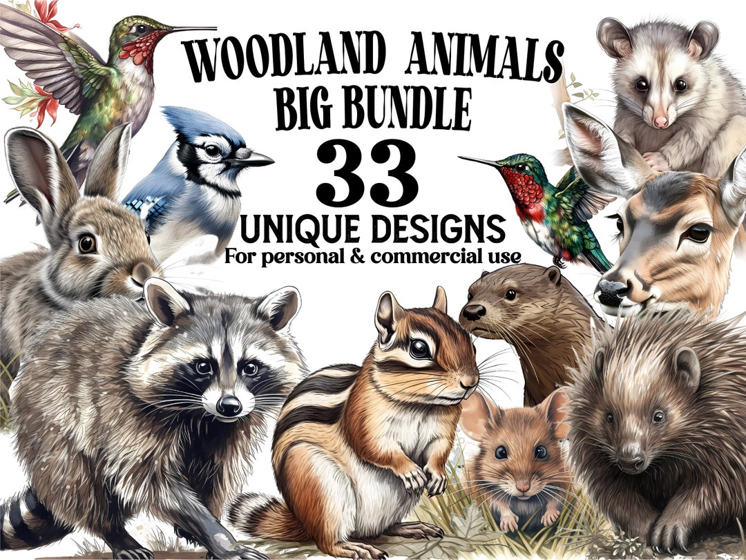 Woodland Animal Clipart Big Bundle - 33 Forest Animal Pngs - Digital ...