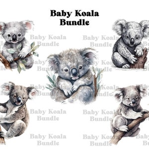 Baby Koala Clipart Bundle - 30 Watercolor Baby Koala Baers Pngs for ...