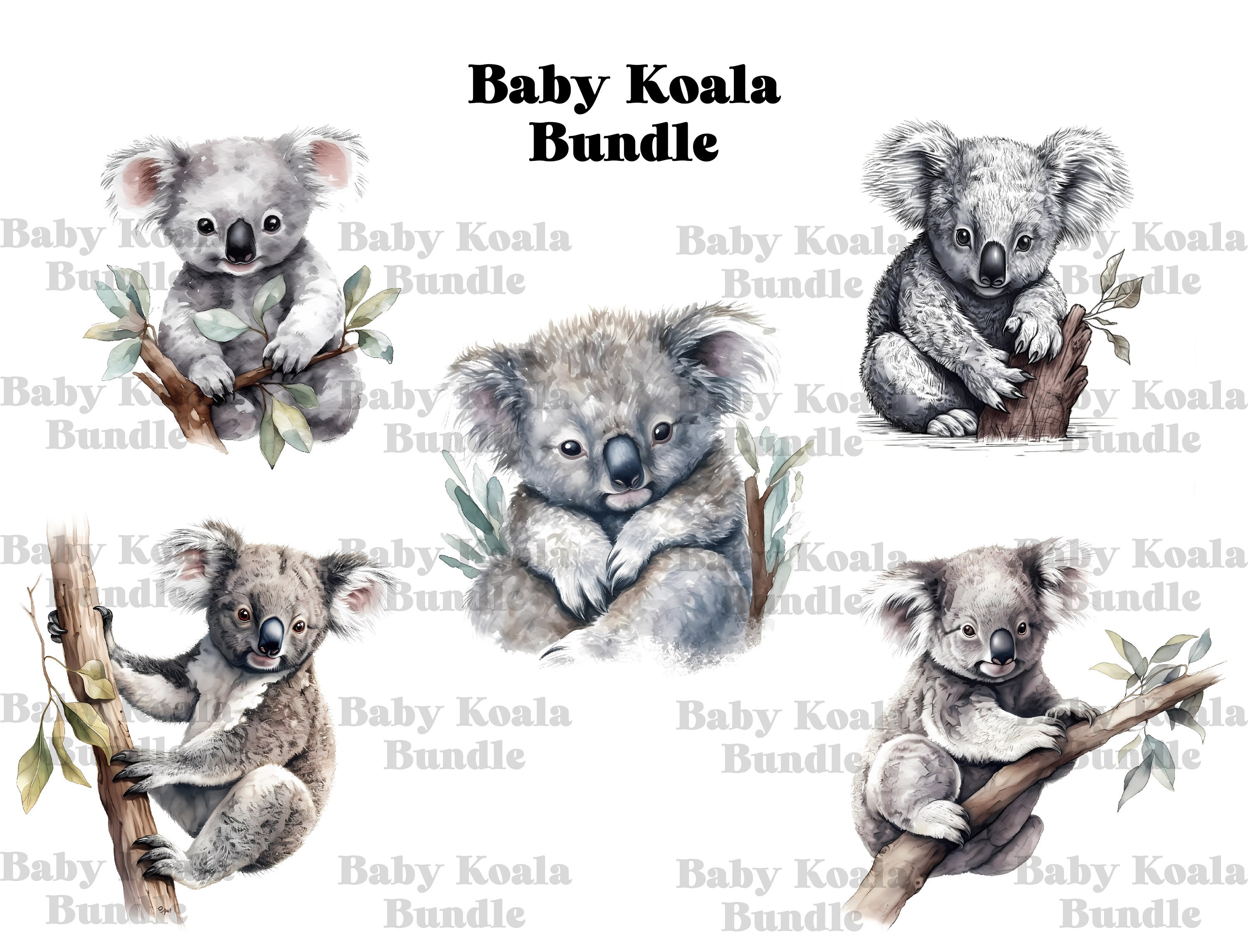Baby Koala Clipart Bundle 30 Watercolor Baby Koala Baers Pngs for Koala ...