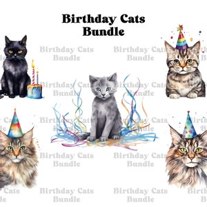 Birthday Cat Clipart Bundle - 29 Cute Cats as Watercolor Pngs - Digital ...