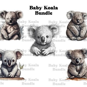 Baby Koala Clipart Bundle - 30 Watercolor Baby Koala Baers Pngs for ...
