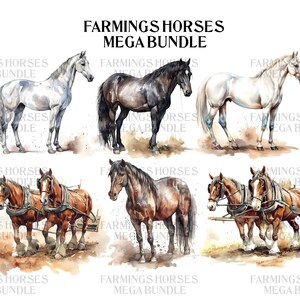 Farming Horse Clipart Bundle - 44 Farming Horses Pngs - Digital ...