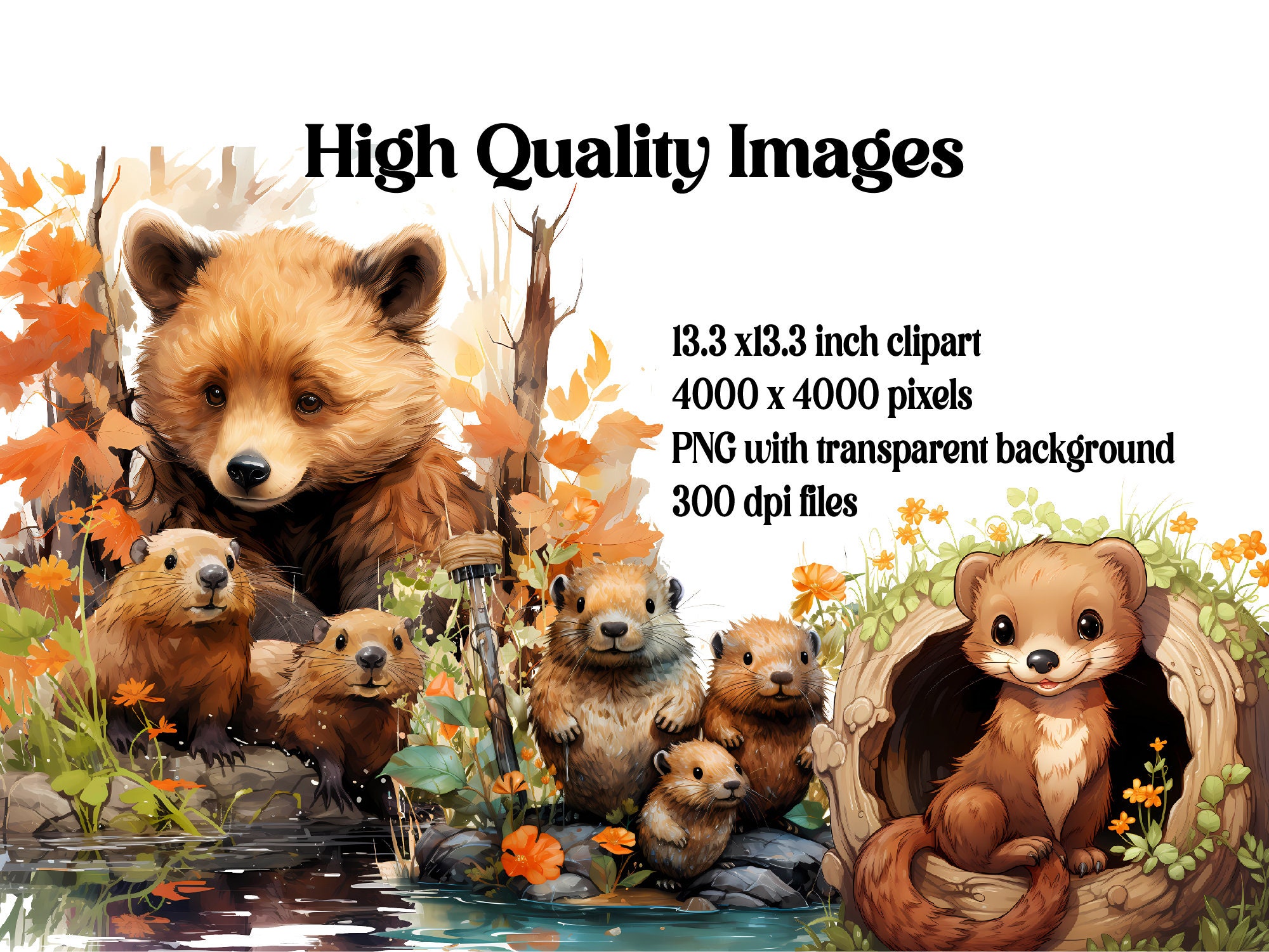 Cute Woodland Animal Clipart Big Bundle - 35 Forest Animal PNG ...