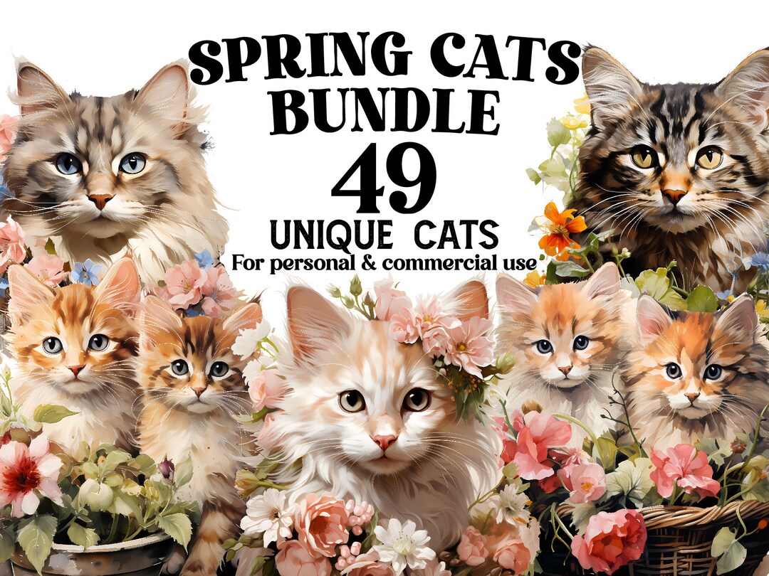 Spring Cats Clipart Bundle - 49 Watercolor Pngs - Digital Drawings ...