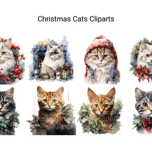 Christmas Cats Clipart Bundle 60 Christmas Pngs Clip Art Fordecor ...