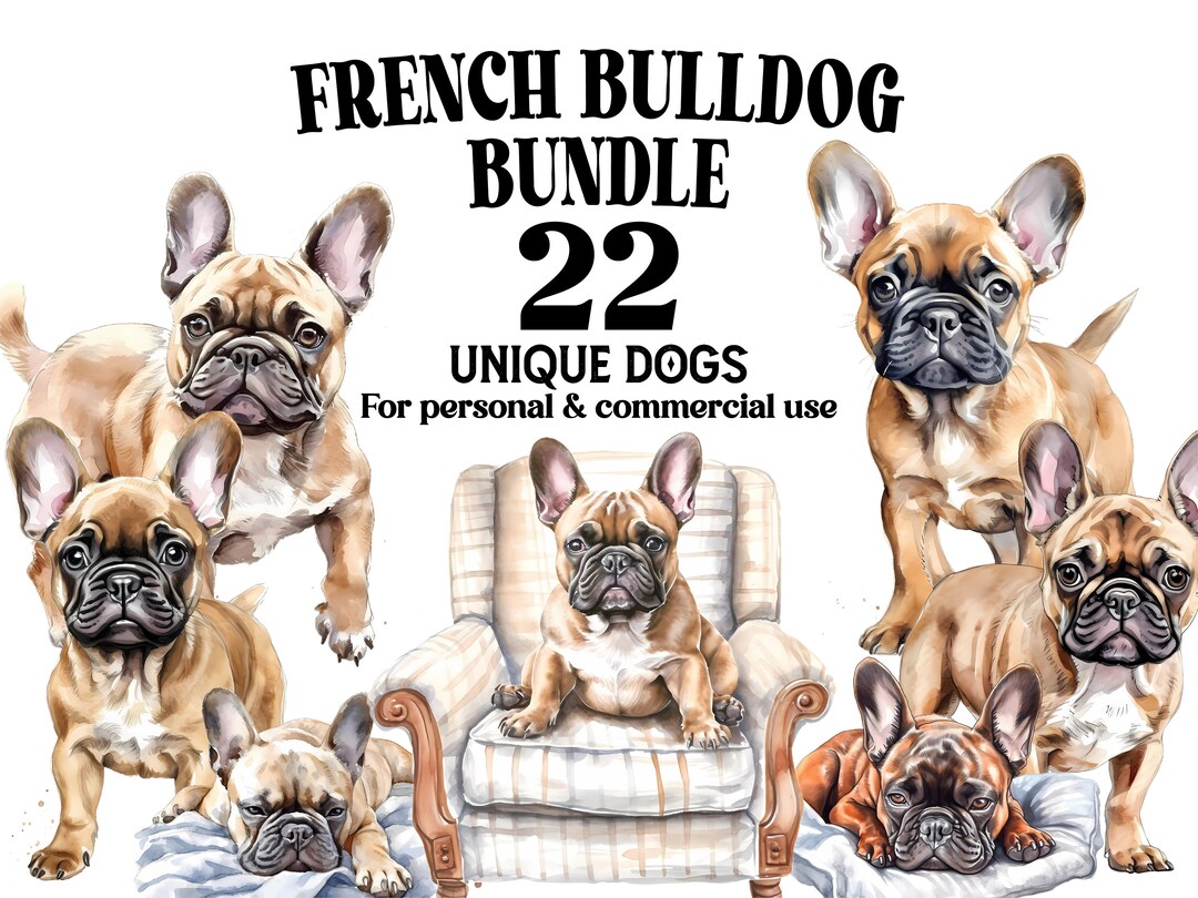 French Bulldog Clipart Bundle - 22 French Bulldogs as Watercolor Pngs ...