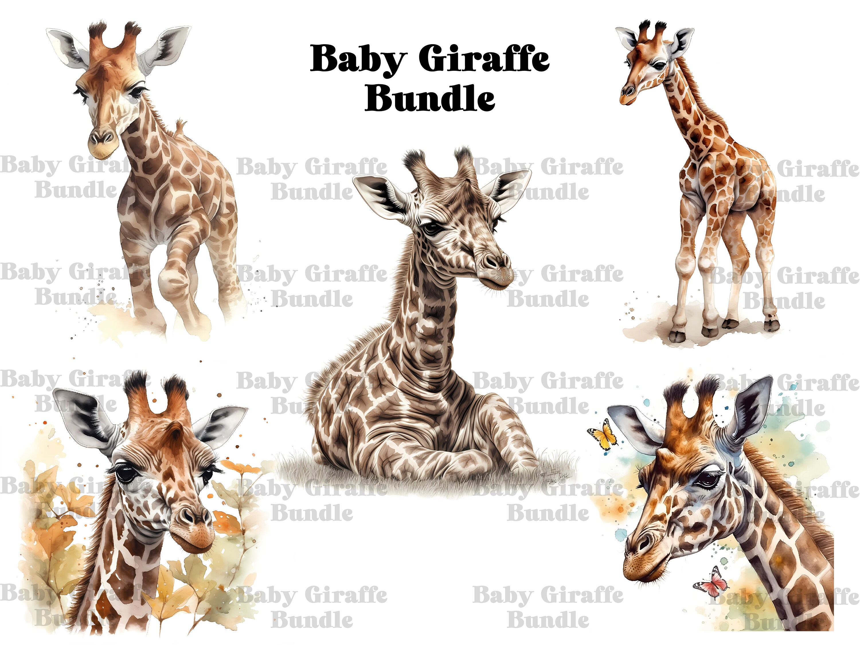 Baby Giraffe Animal Clipart Big Bundle 37 Giraffes - Etsy