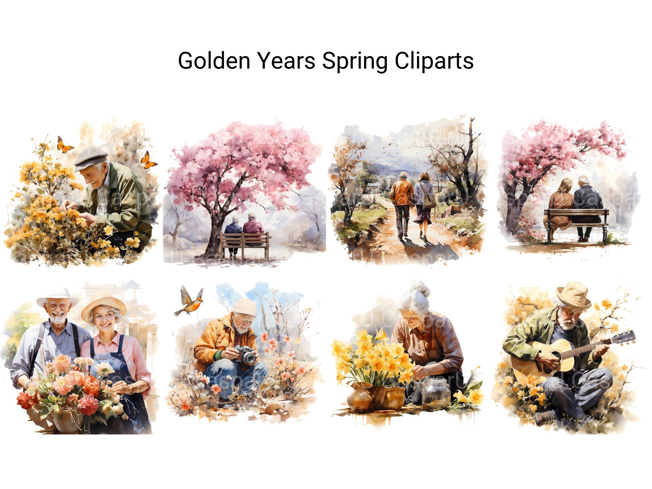 Golden Years Spring Clipart Bundle 34 Watercolor Pngs Digital Drawings ...