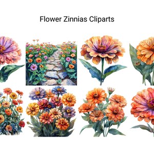 Zinnias Flowers Clipart Bundle - 80 Watercolor Floral Pngs - Digital ...