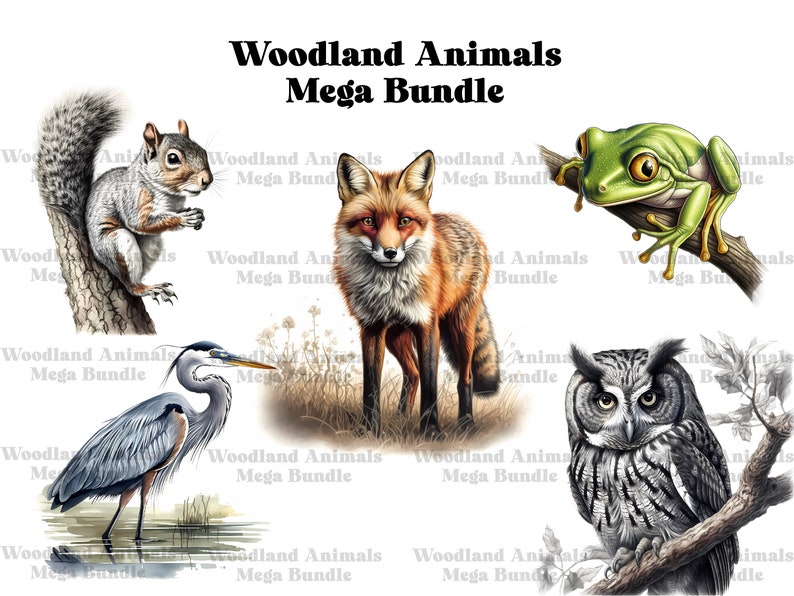 Woodland Animal Clipart Big Bundle 33 Forest Animal Pngs Digital ...