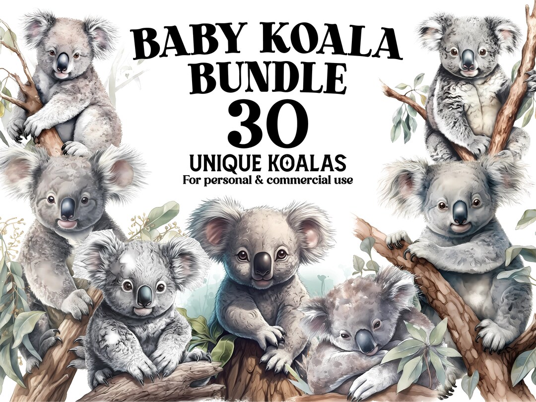 Baby Koala Clipart Bundle - 30 Watercolor Baby Koala Baers Pngs for ...